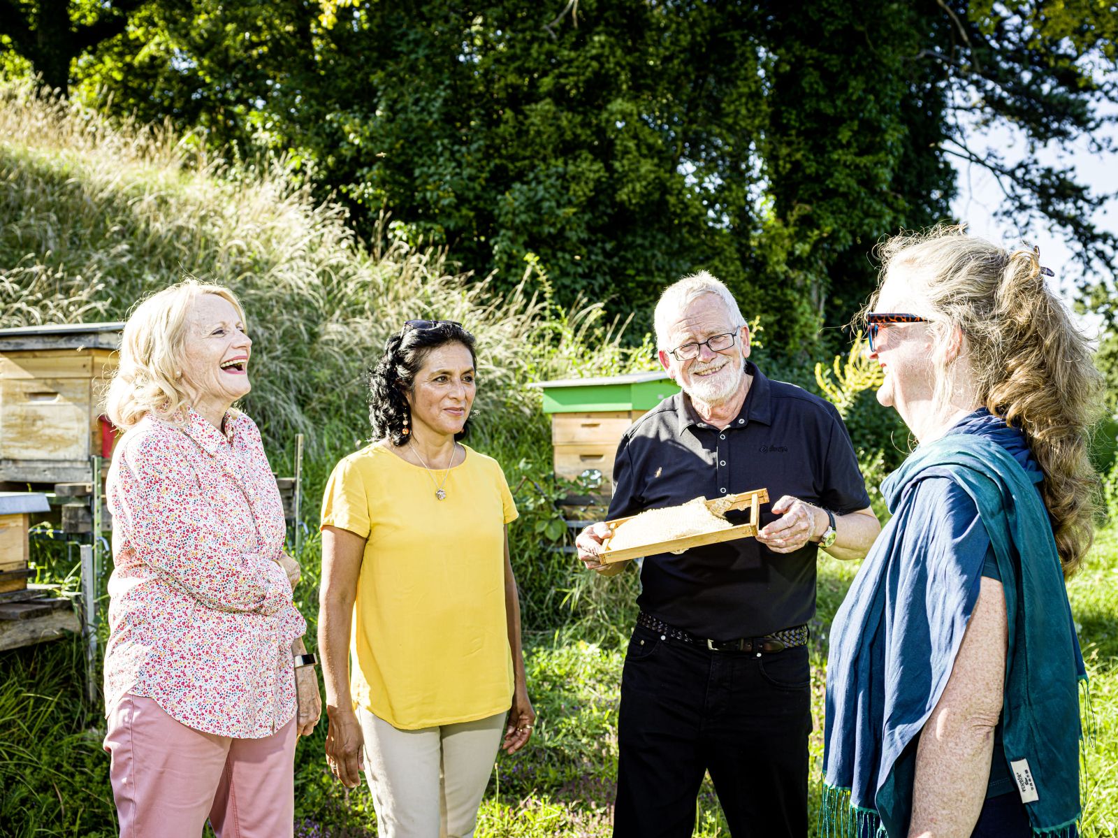 Samsung Galaxy S23-S25 /+/Ultra (2005926) - Alle Angebote Bildung und ...